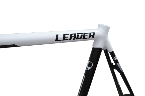 Leader 2021 EQNX frameset – Mr. Bikes
